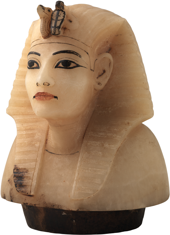 Bust (600x824), Png Download