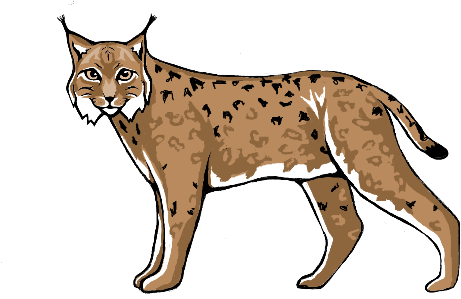 Download Lynx Transparent Images - Luchs Clipart | Transparent PNG ...
