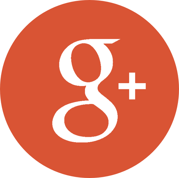 Brown Google Plus Logo, Brown Google Advantage Logo, - Gender Equality ...