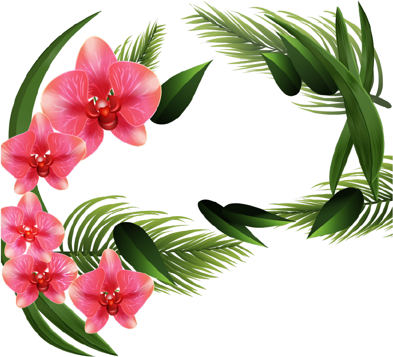 Png Клипарт "realistic Vector Delicate Orchids" - Orquideas Png Vector ...