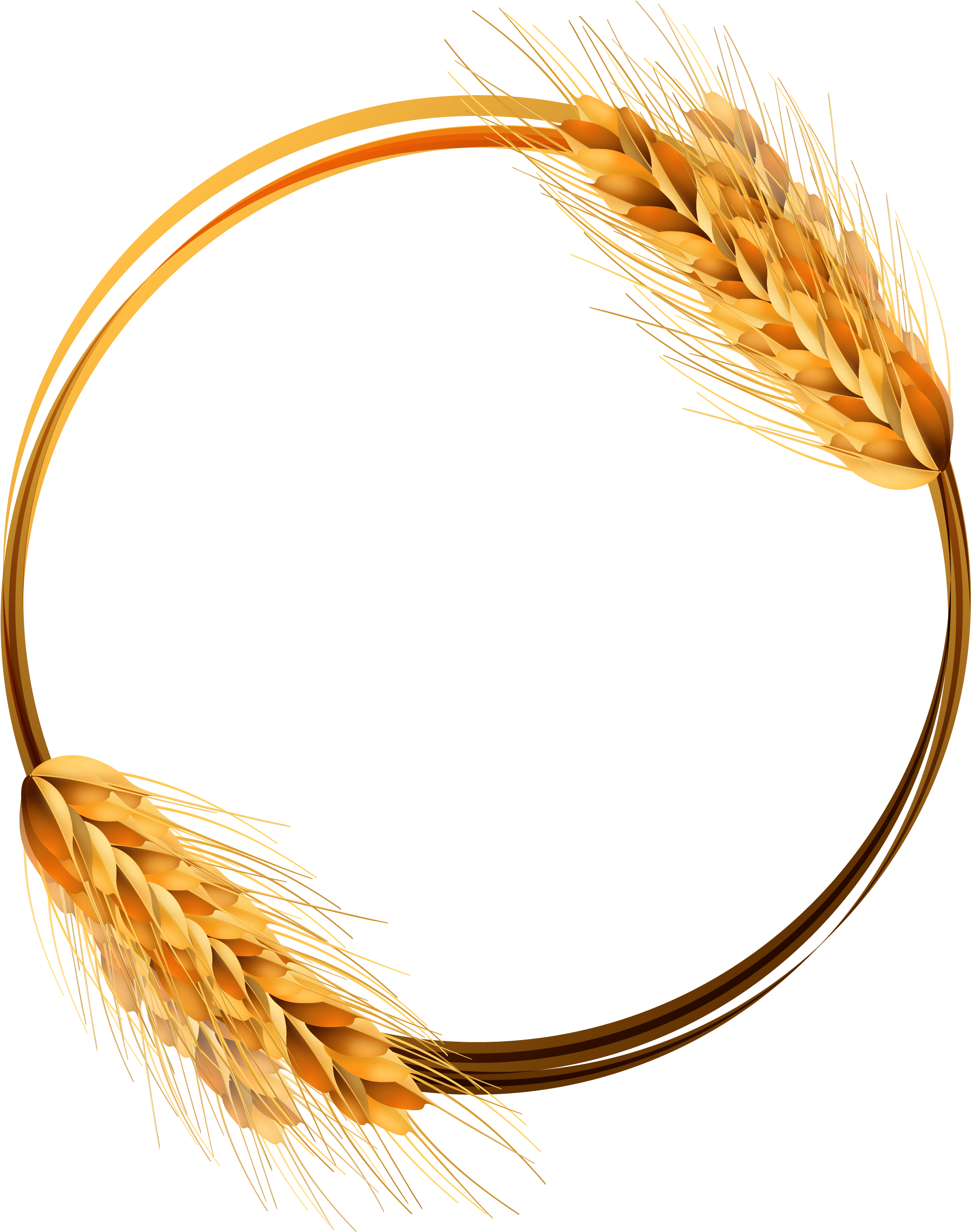 Download Common Wheat Ear Crop - Wheat Circle Vector | Transparent PNG ...