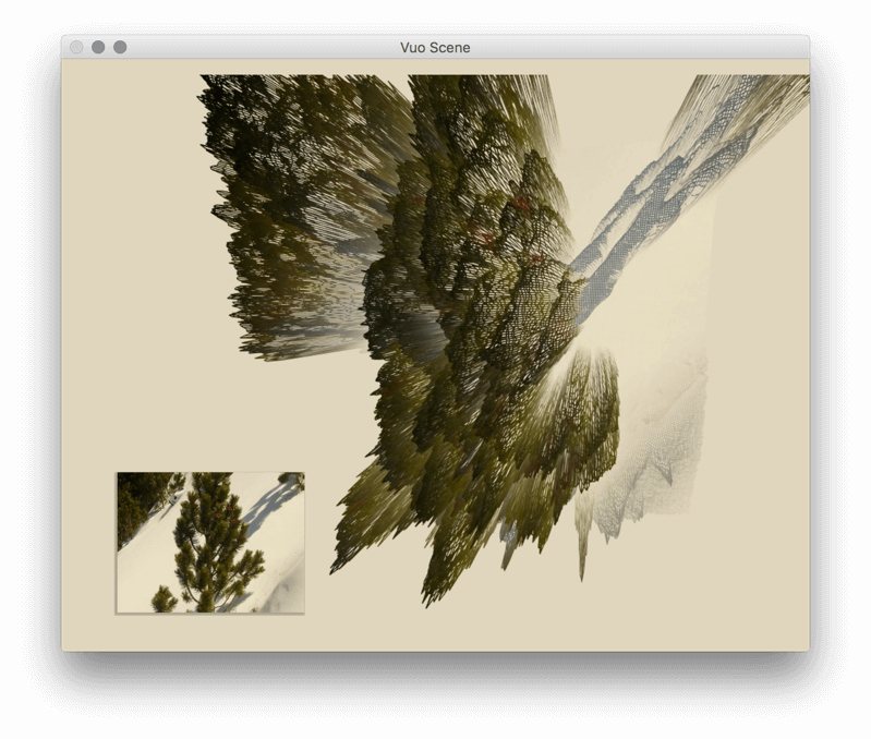 Larch (799x678), Png Download