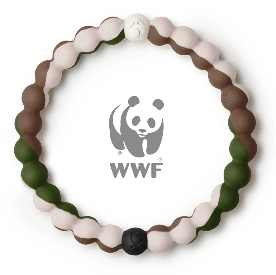 Download Wwf | Transparent PNG Download | SeekPNG