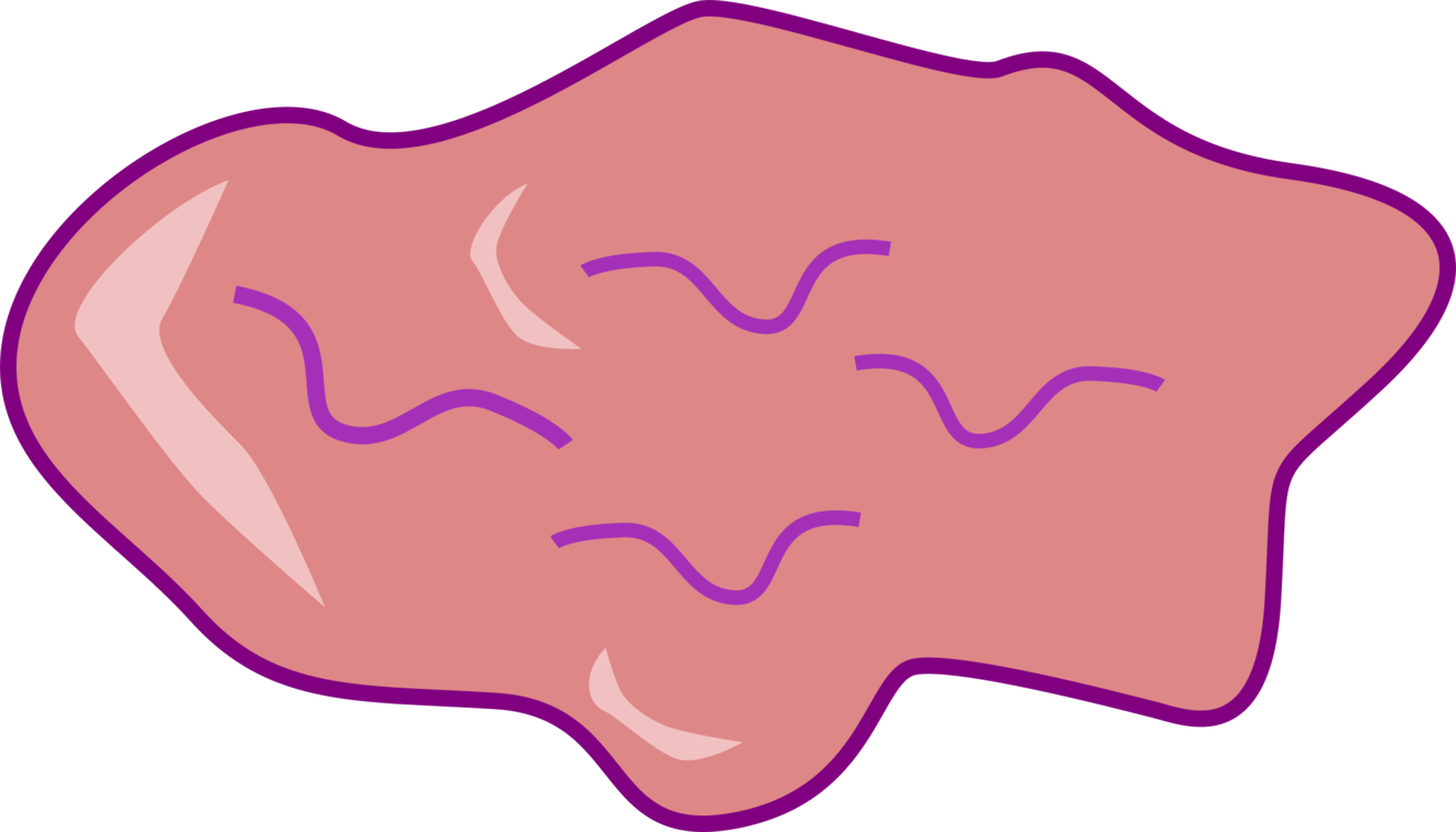 Chewing Gum Computer Icons Chewels Download (1313x750), Png Download