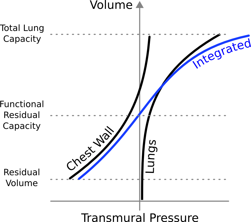The Integrated Pulmonary Compliance Curve - Lung Compliance Curve ...