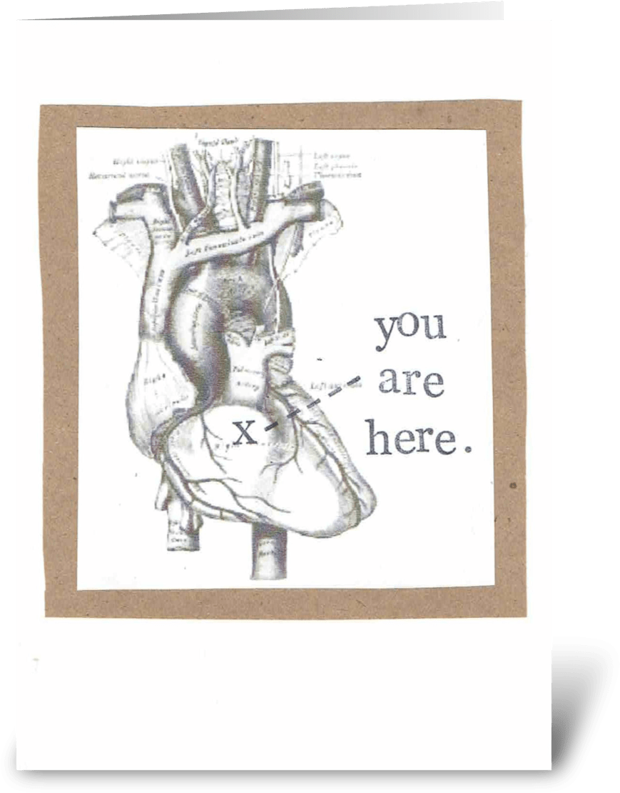 You Are Here Anatomical Heart - Anatomy Valentines Day (1050x1188), Png ...