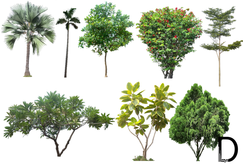 Download Landscape Png Photos - High Resolution Trees Png | Transparent ...