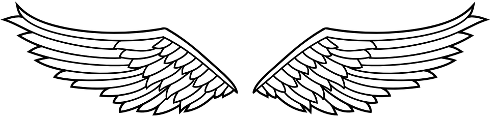 Download Eagle Wings Png Free Download - Gambar Sayap Burung Garuda ...