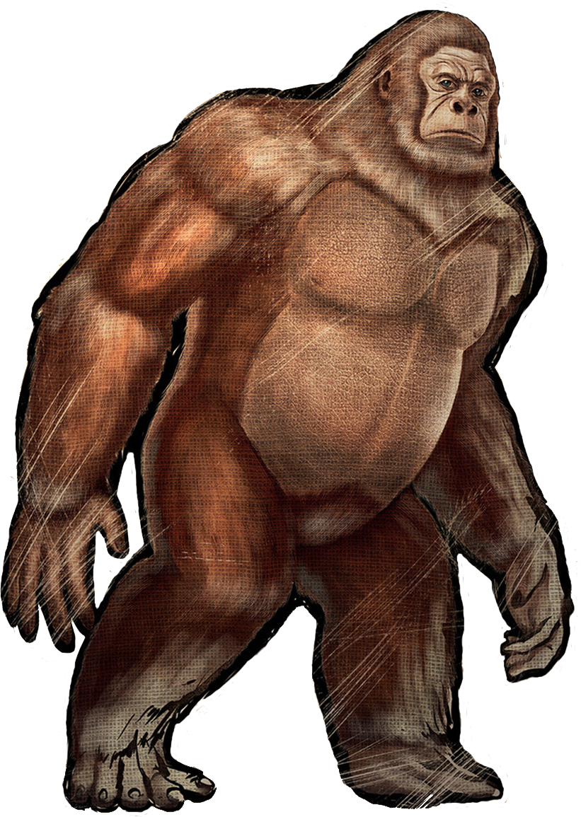 Download 9 10 11 12 - Homo Neanderthalensis Png | Transparent PNG ...