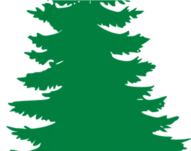 Download Pine Tree Vector Png | Transparent PNG Download | SeekPNG
