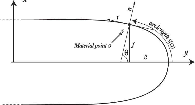 Geometry Of Axisymmetric Finger - Diagram (805x450), Png Download