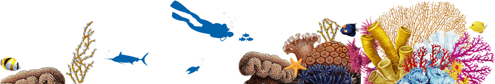 Download Underwater - Illustration | Transparent PNG Download | SeekPNG