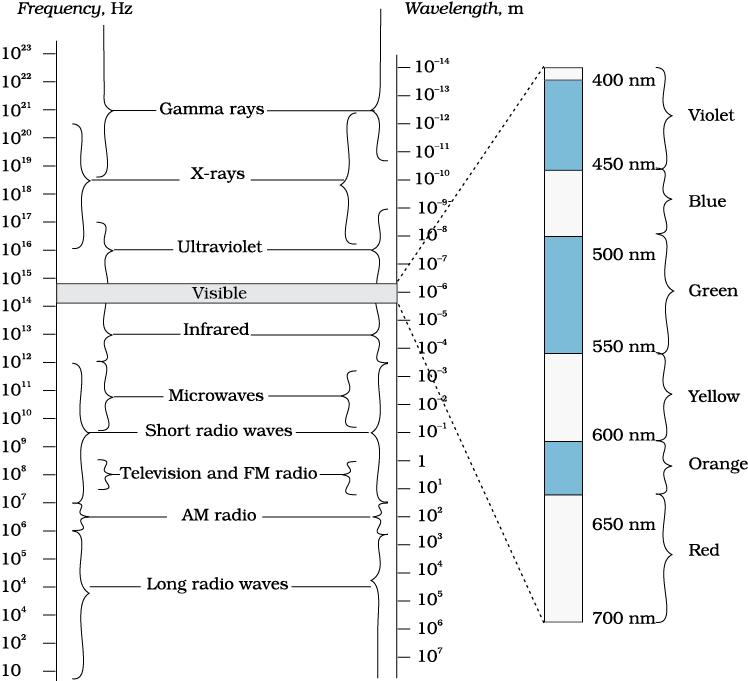 Electromagnetic Spectrum Class 12 (748x681), Png Download