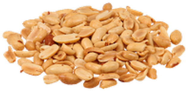 Download Groundnut Png | Transparent PNG Download | SeekPNG
