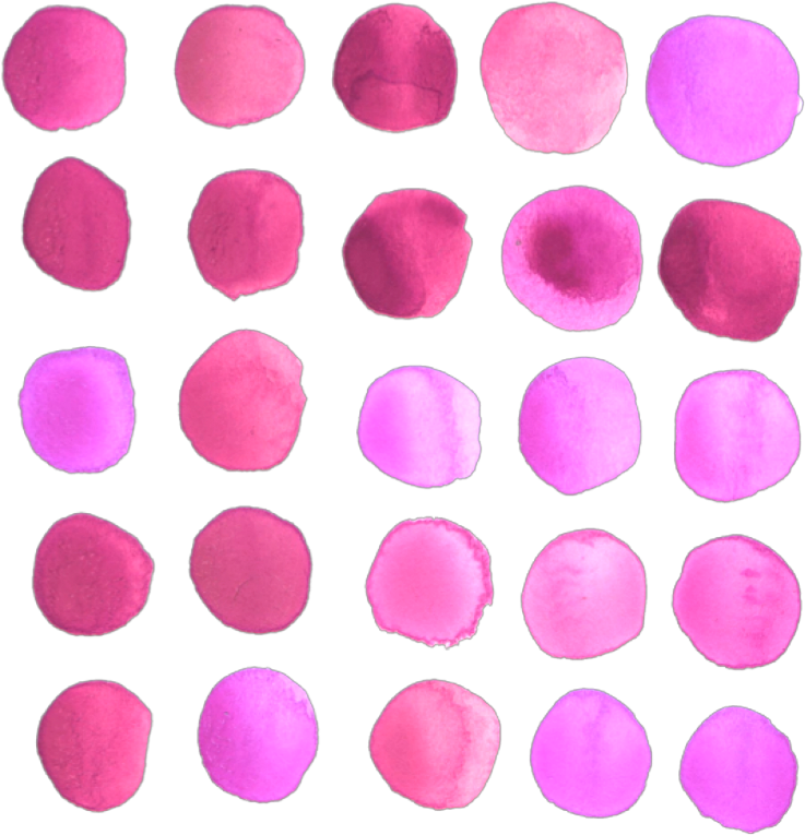 Ftestickers Watercolor Dots Pink Purple - Vector Graphics (1024x1024 ...