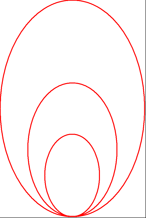 Golden Spiral 3 - Circle (602x901), Png Download