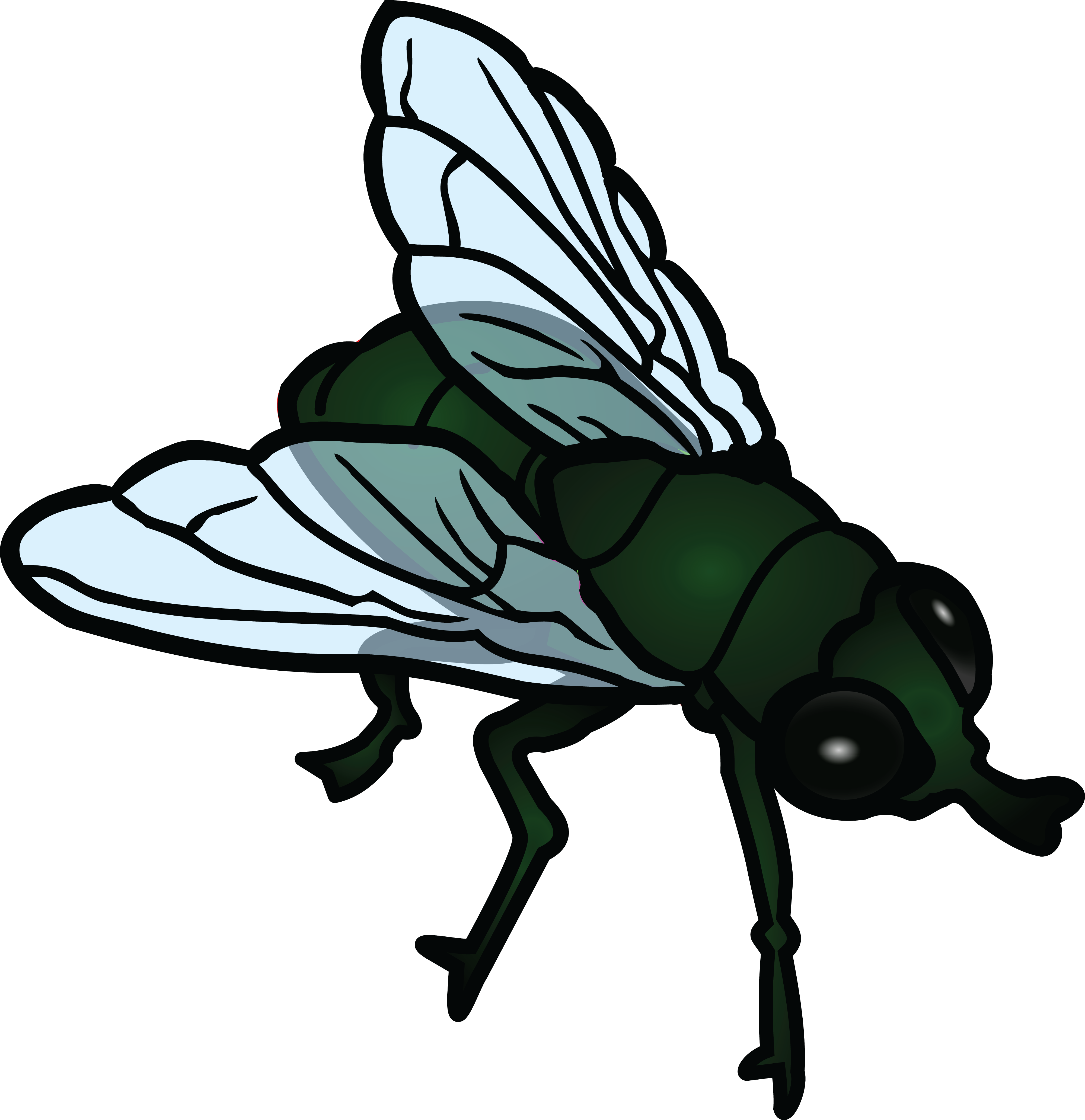 Fly Png Photos - Flies Clipart (4000x4130), Png Download