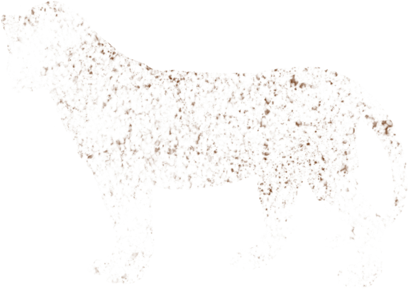 Download Freckles Png File - Flock | Transparent PNG Download | SeekPNG