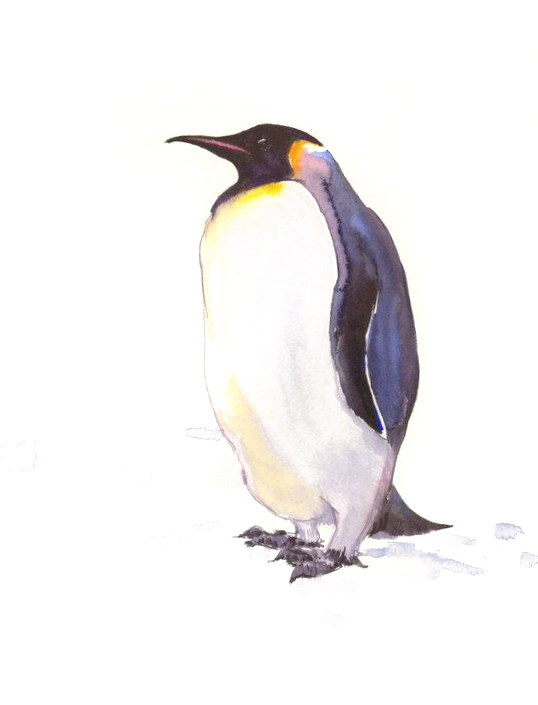 King Penguin Drawing At Getdrawings - East Urban Home Penguin Painting ...