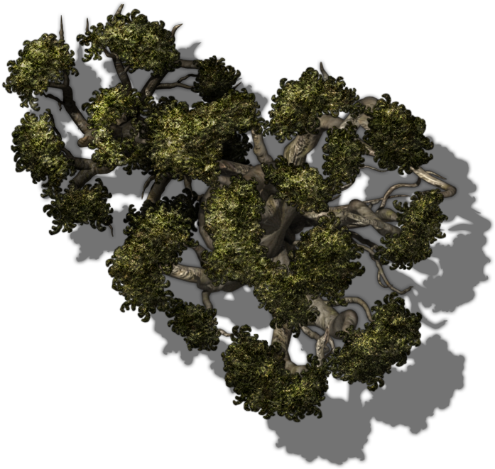 Svcfe Trees 8 - Tree (700x700), Png Download