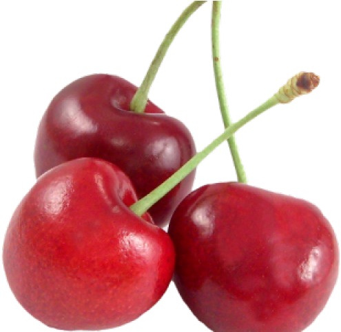 Download Cherry Clipart Transparent Background - Cherry Fruit Png ...