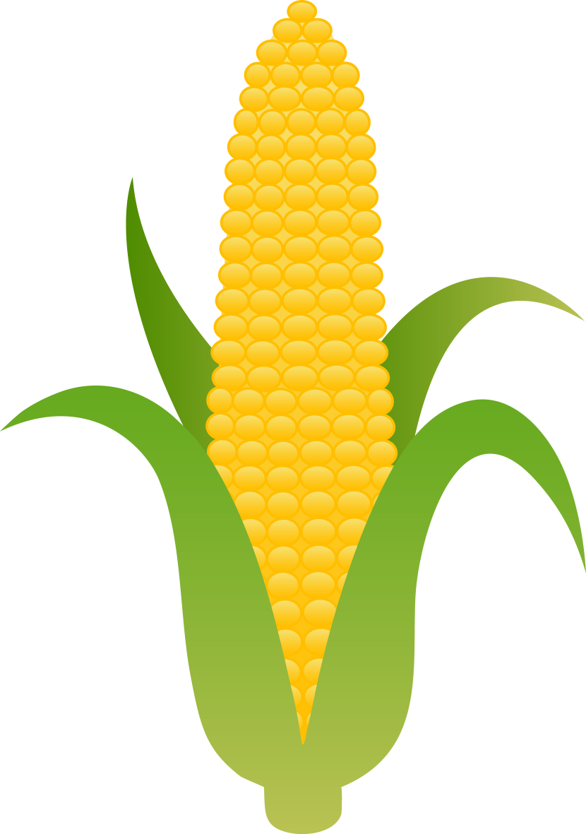 Corn Clipart Aztec - Ear Of Corn Clip Art (830x1181), Png Download