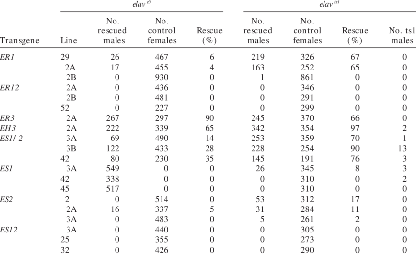 Genetic Complementation Of Elav E5 And Elav Ts1 By - Colour Vision ...