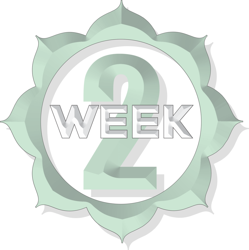 2 Week - Circle (1000x1004), Png Download