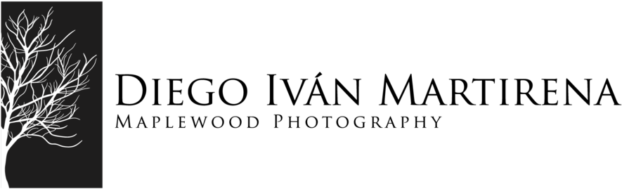 Photography Png Text (1000x428), Png Download