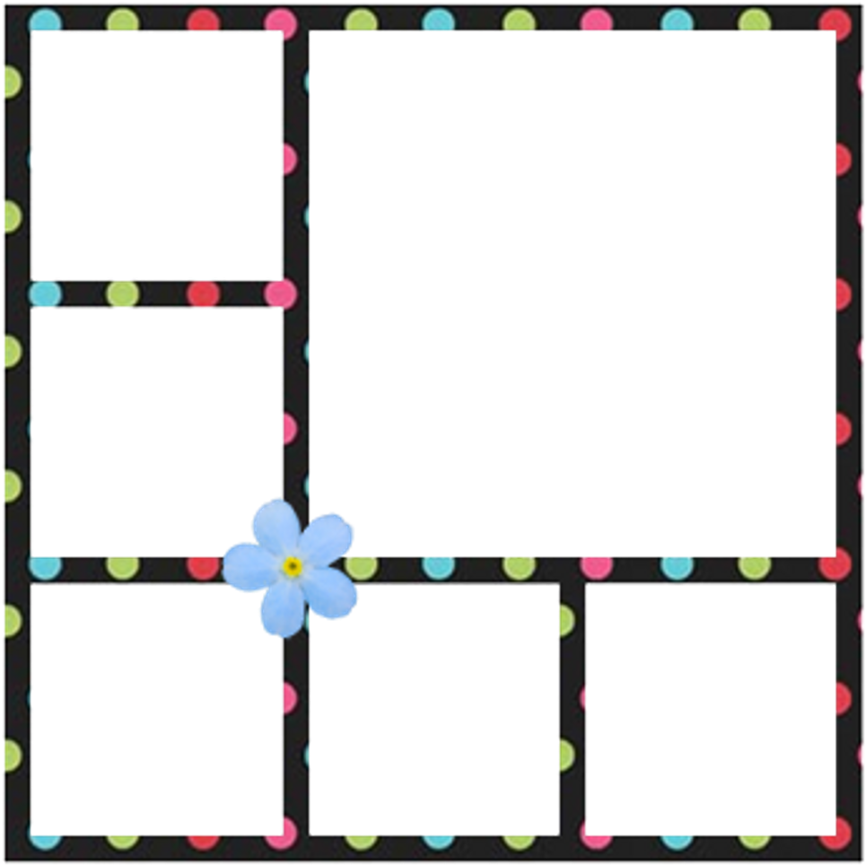 Collage Frame Polaroid Flower Colorful - Moldura 5 Fotos Png (1024x1049 ...