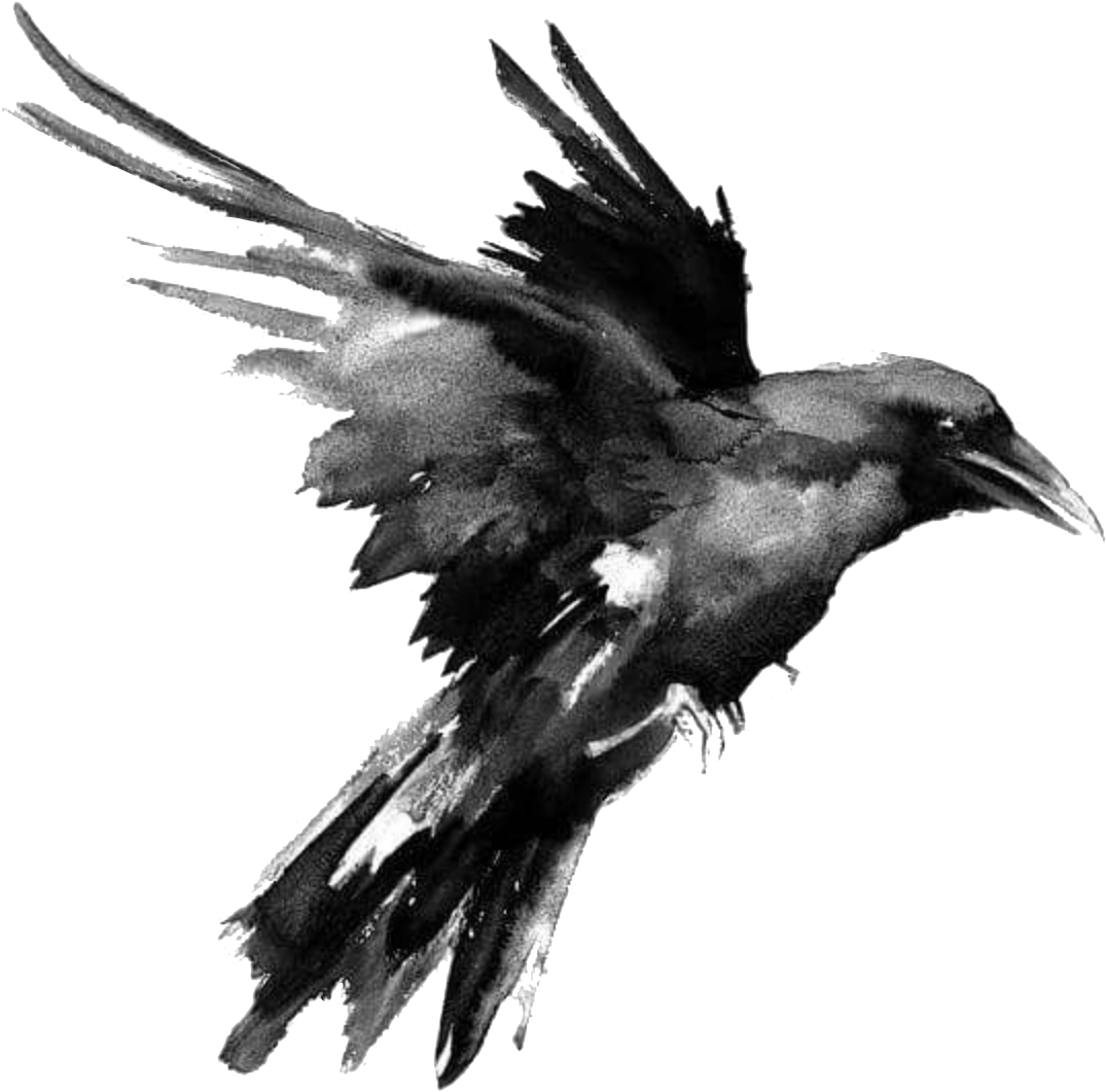Raven Png - Black And White Raven Art (1132x1098), Png Download
