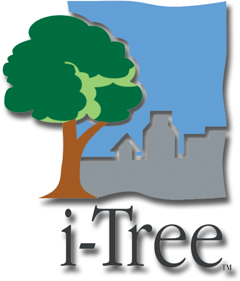 Helpful Tools - I-tree (550x650), Png Download