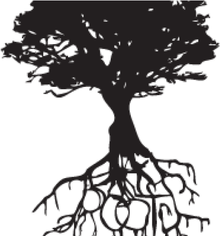 Oak Tree Silhouette With Roots (640x480), Png Download