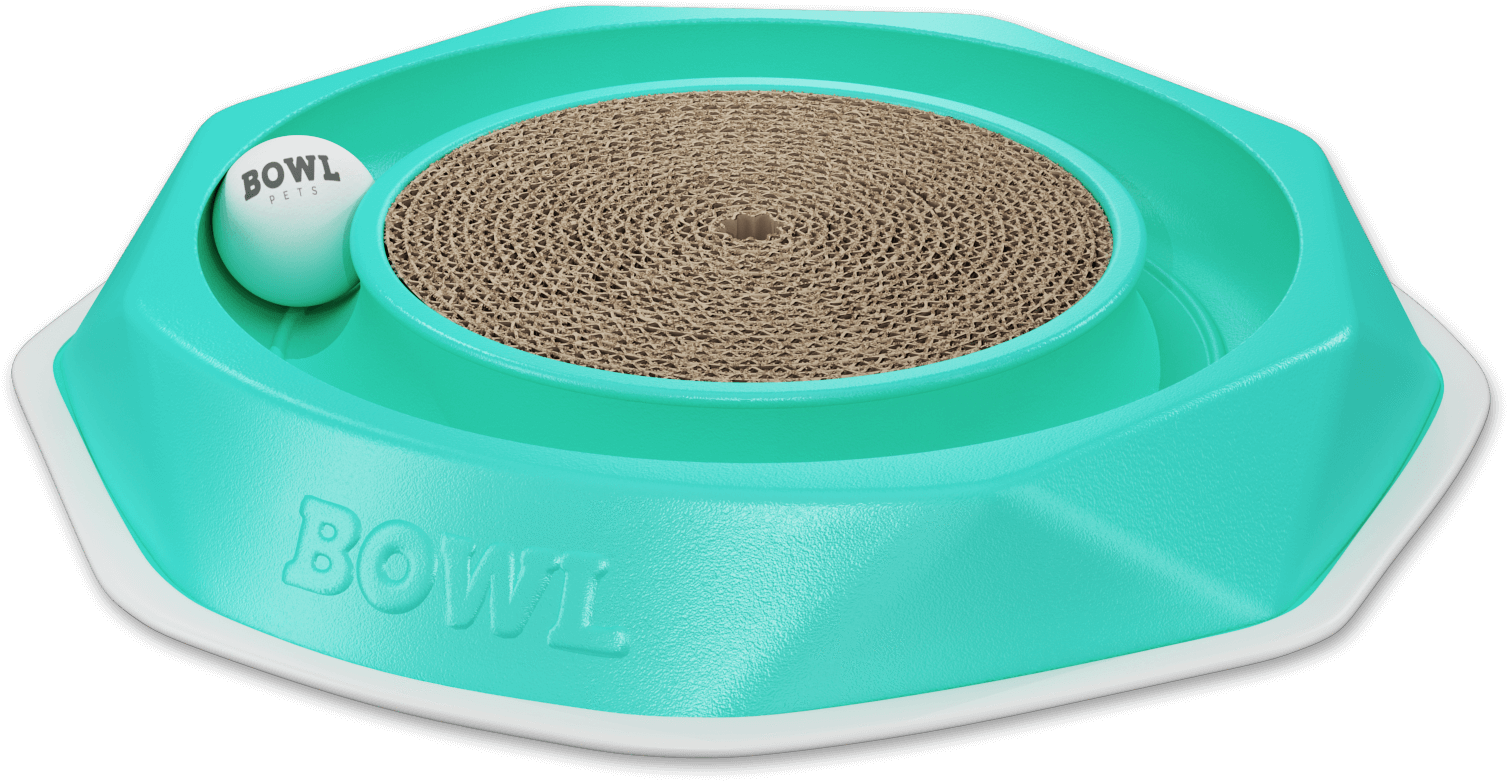 Scratcher Cat Toy - Circle (1600x1600), Png Download