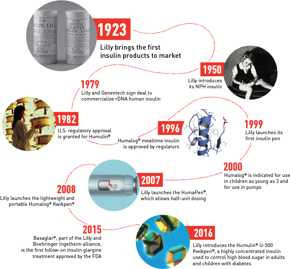 History Of Lilly Insulin Timeline Infographic - Circle (950x925), Png ...