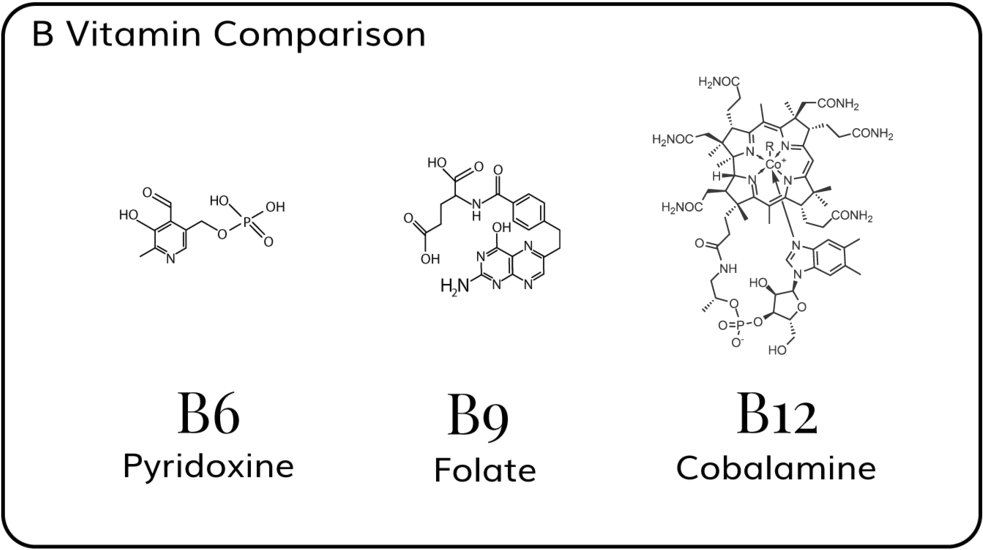 Vitamin B Comparison - Vitamin B Complex Structure (1000x562), Png Download