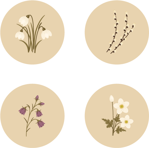 How To Create Spring Flowers From Basic Shapes In Adobe - Make Flowers ...