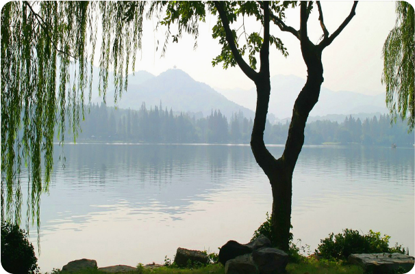 Picture Frame (800x800), Png Download