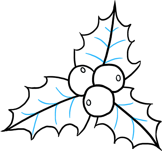 How To Draw Holly - Holly Berries Drawing (680x678), Png Download