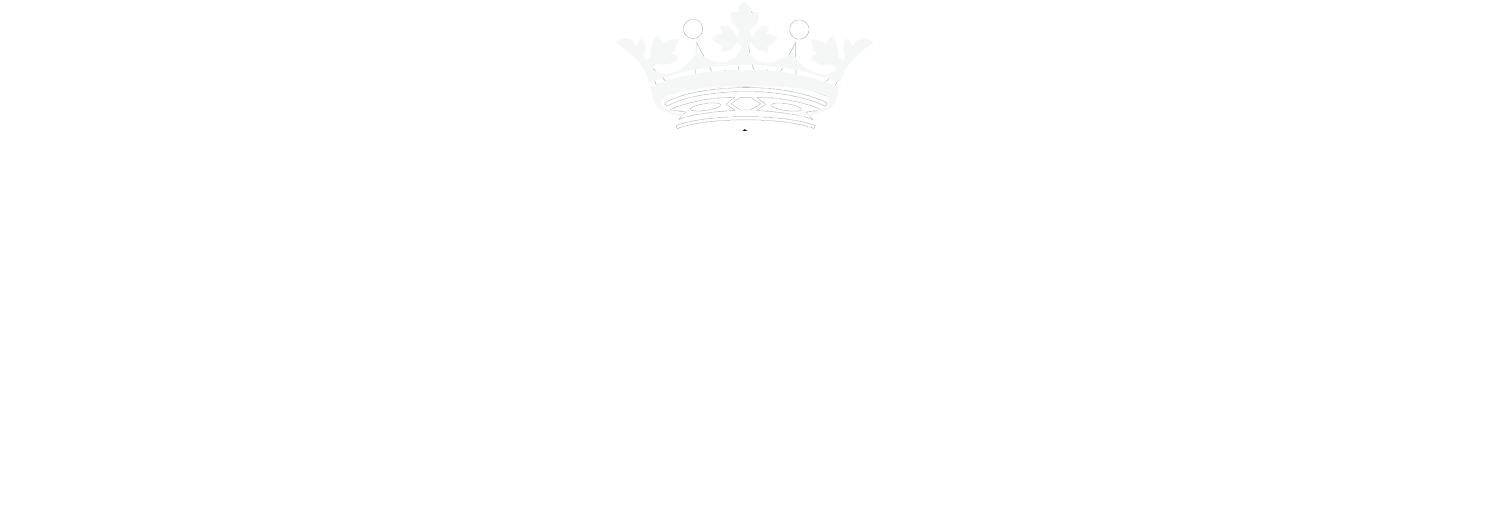 The - Project Zomboid Logo (1574x545), Png Download