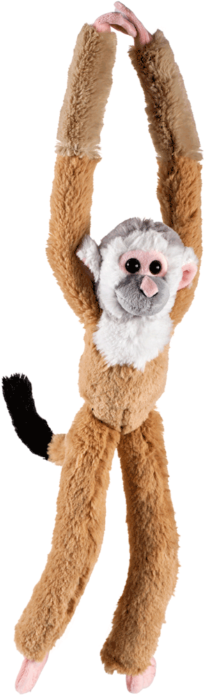 Download Petjes World - Stuffed Toy | Transparent PNG Download | SeekPNG