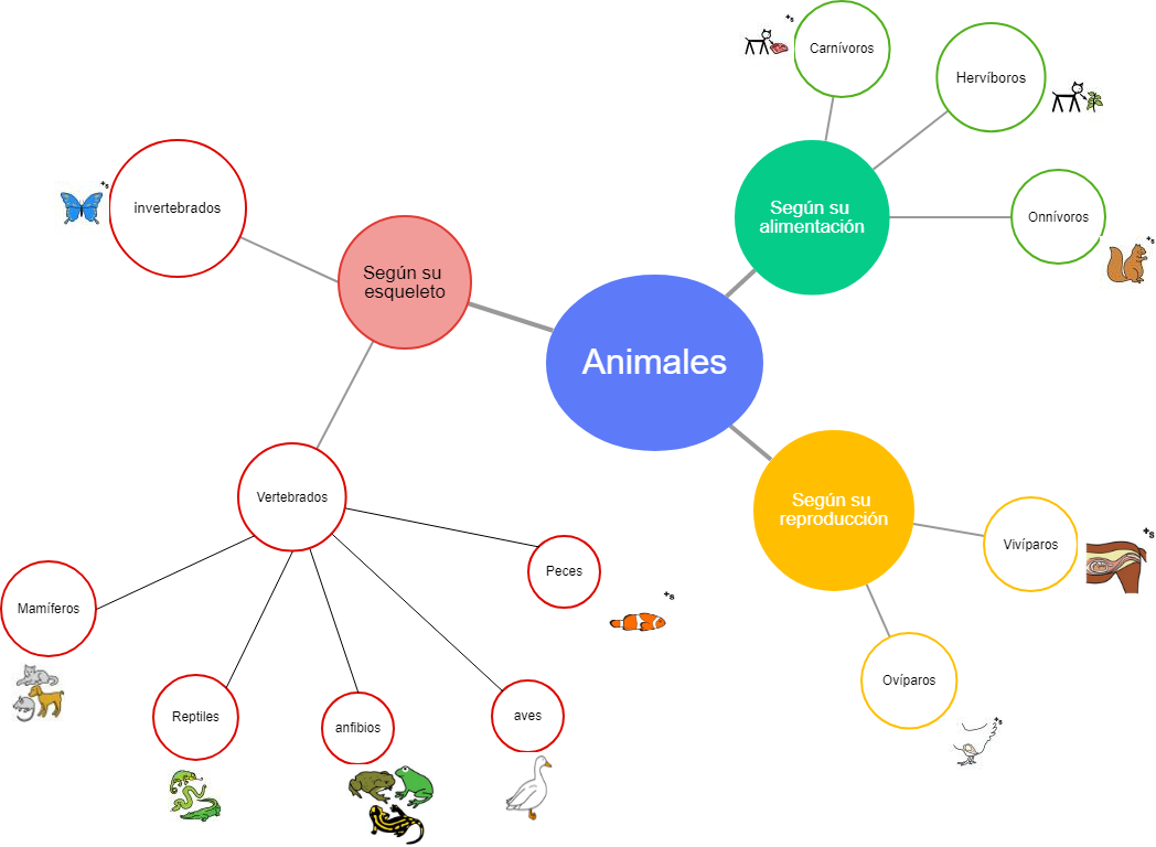 Mindmap 1 Mamíferos Vertebrados Reptiles Anfibios Aves - Diagram ...