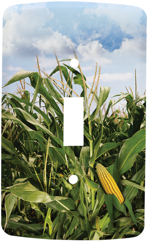 Download Cornfield On - Bud | Transparent PNG Download | SeekPNG