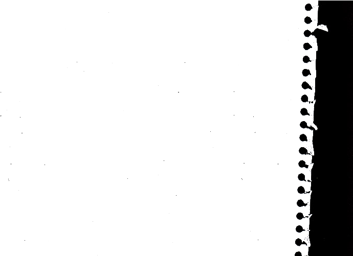 Download Hoja Rota Png - Monochrome | Transparent PNG Download | SeekPNG