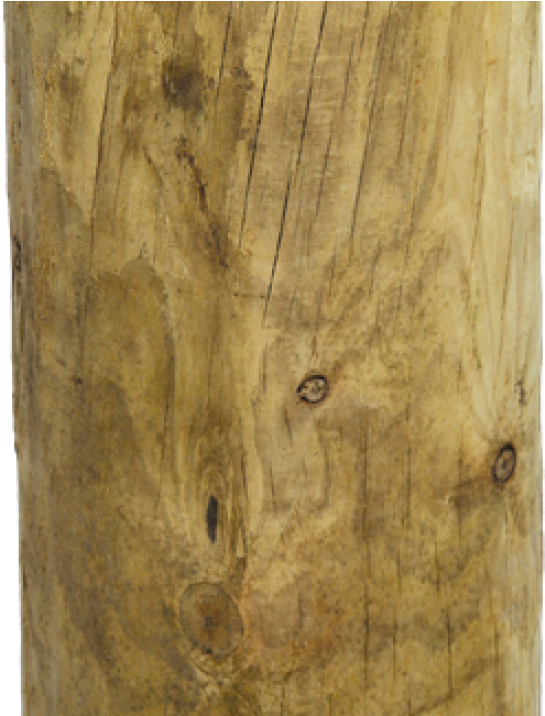 Download H5 Round Post | Transparent PNG Download | SeekPNG