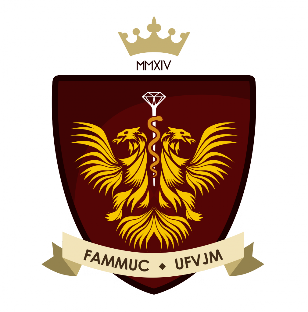 Vmed - Info - Emblem (1010x1024), Png Download