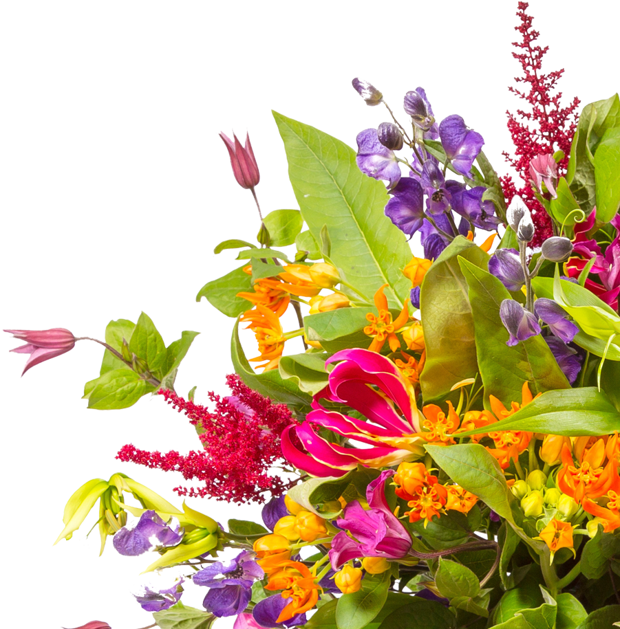 Transparent Png Flower Boutique (900x922), Png Download