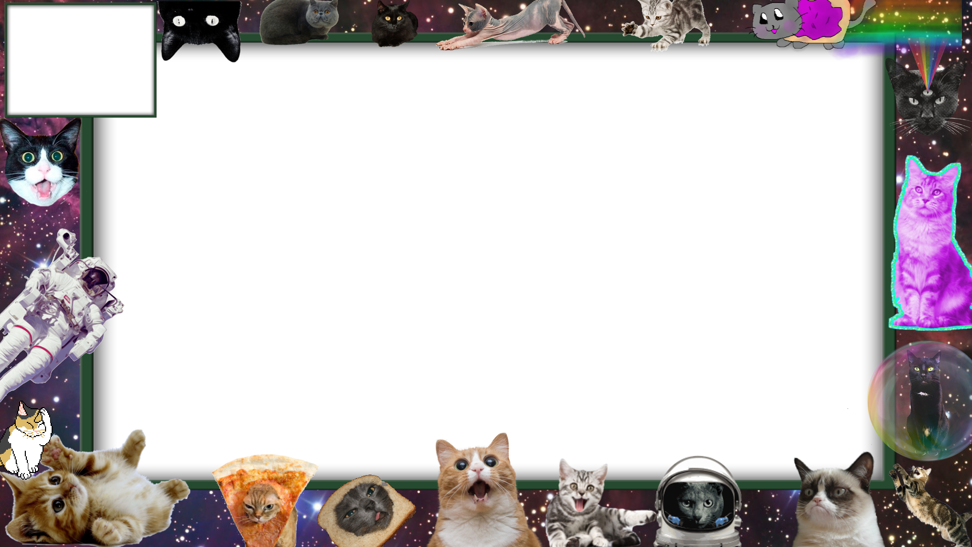 Twitch Cat Overlay - Obs Overlay Space (1920x1080), Png Download
