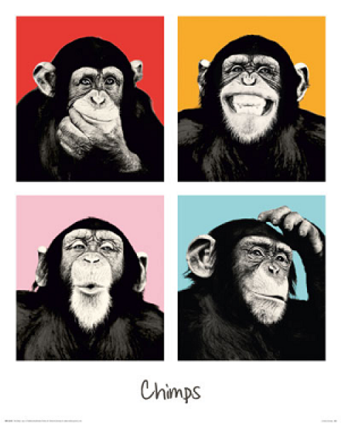 The Chimp Pop (600x600), Png Download