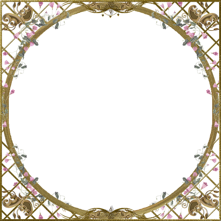 Psp Frame - Circle (725x725), Png Download
